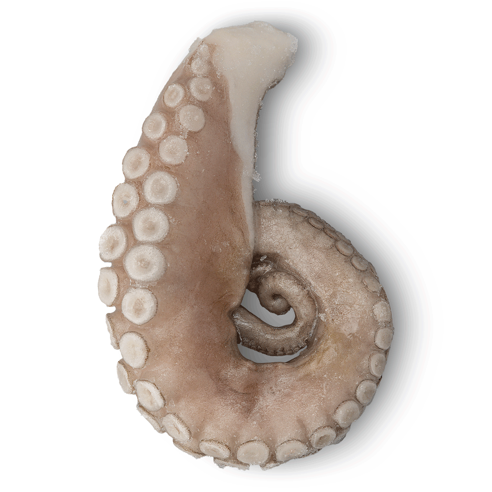 T3 6 kg Frozen Wild Octopus Tentacle IQF Morocco – Lagoon Seafood ...